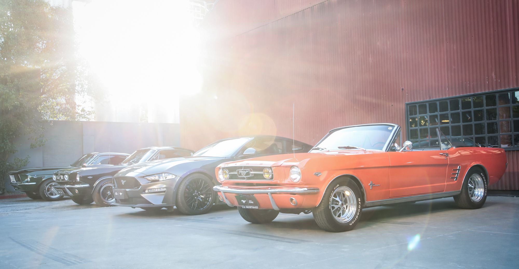 FORD CELEBRÓ EL 5° ANIVERSARIO DEL MUSTANG EN EL PAÍS